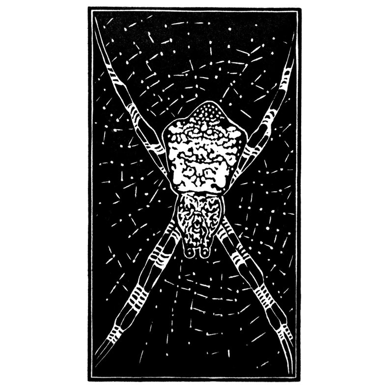 Handmade Spider Linocut Print: Hawaiian Garden Spider Art (9x12) - Etsy