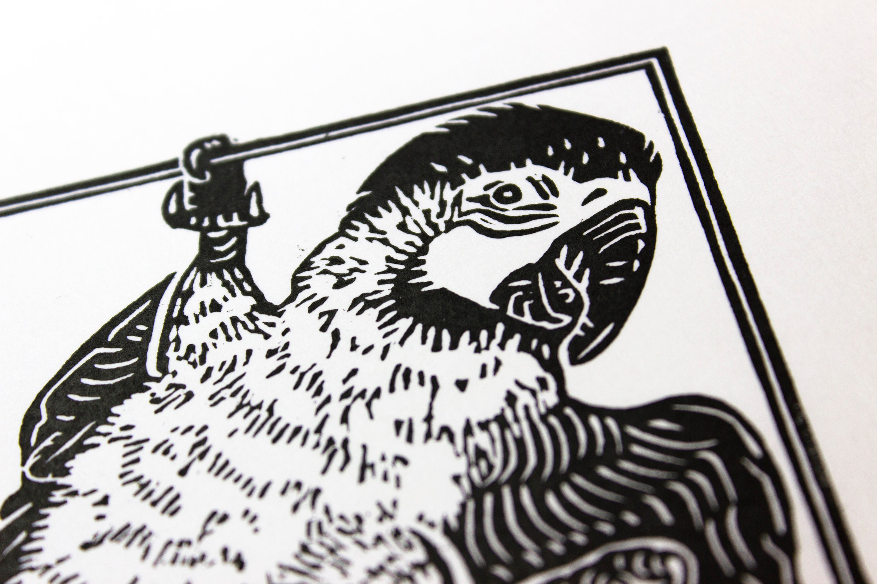 Original Macaw Linocut. Handmade, Limited Edition Linoleum Block Print ...