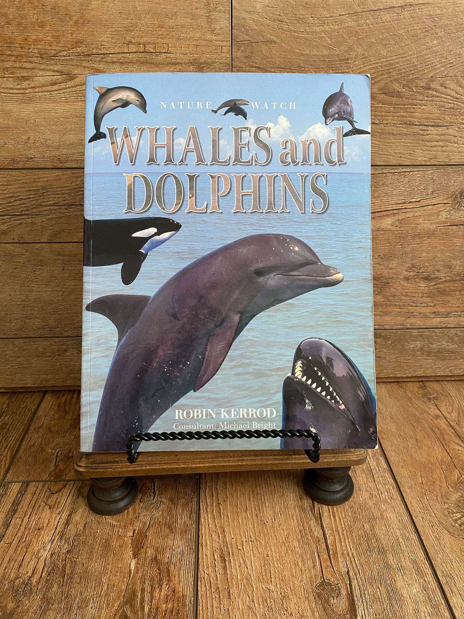 Nature Watch Whales and Dolphins Book Children Educational Book - Etsy