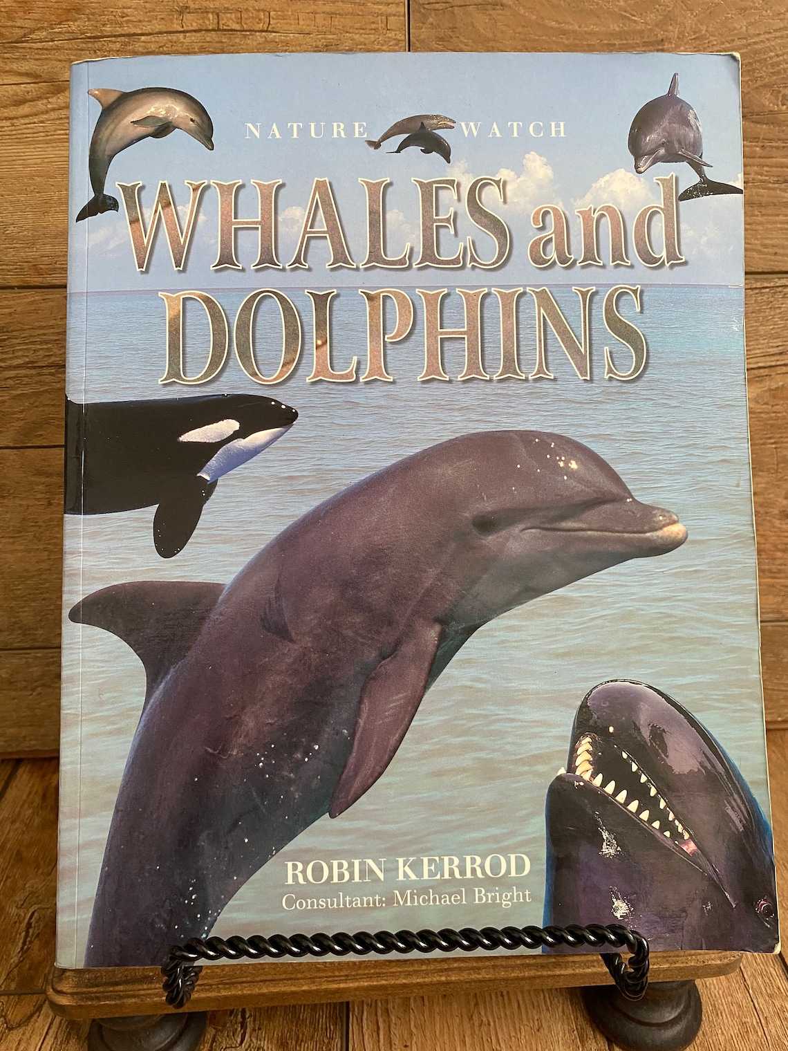 Nature Watch Whales and Dolphins Book Children Educational Book - Etsy