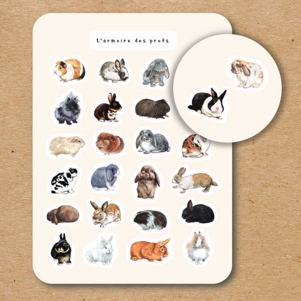 Sticker Sheet - Etsy