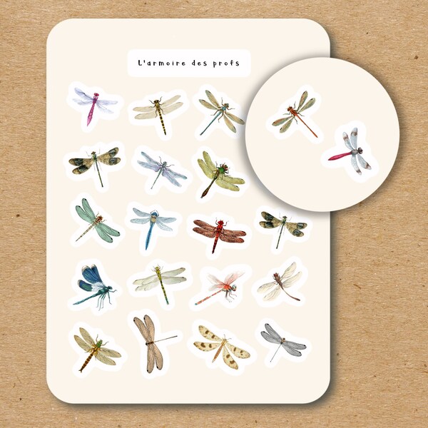 Dragonfly Sticker - Etsy