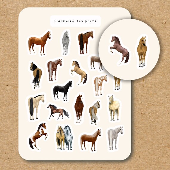 HORSE Theme Sticker Sheet / Horse Riding Stickers / Cute | Etsy