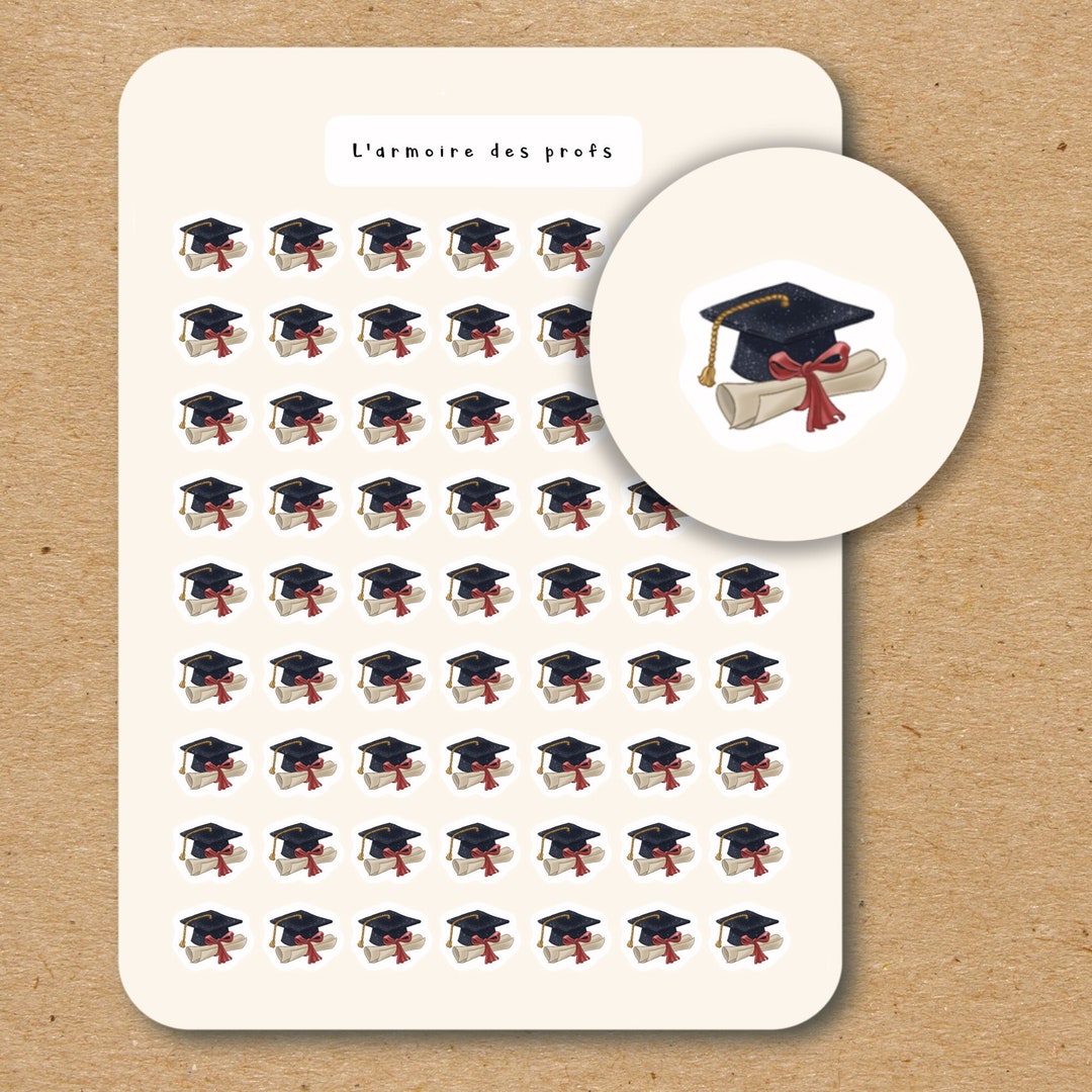 GRADUATION Stickers for Planner / Student Loan Budget Stickers ...