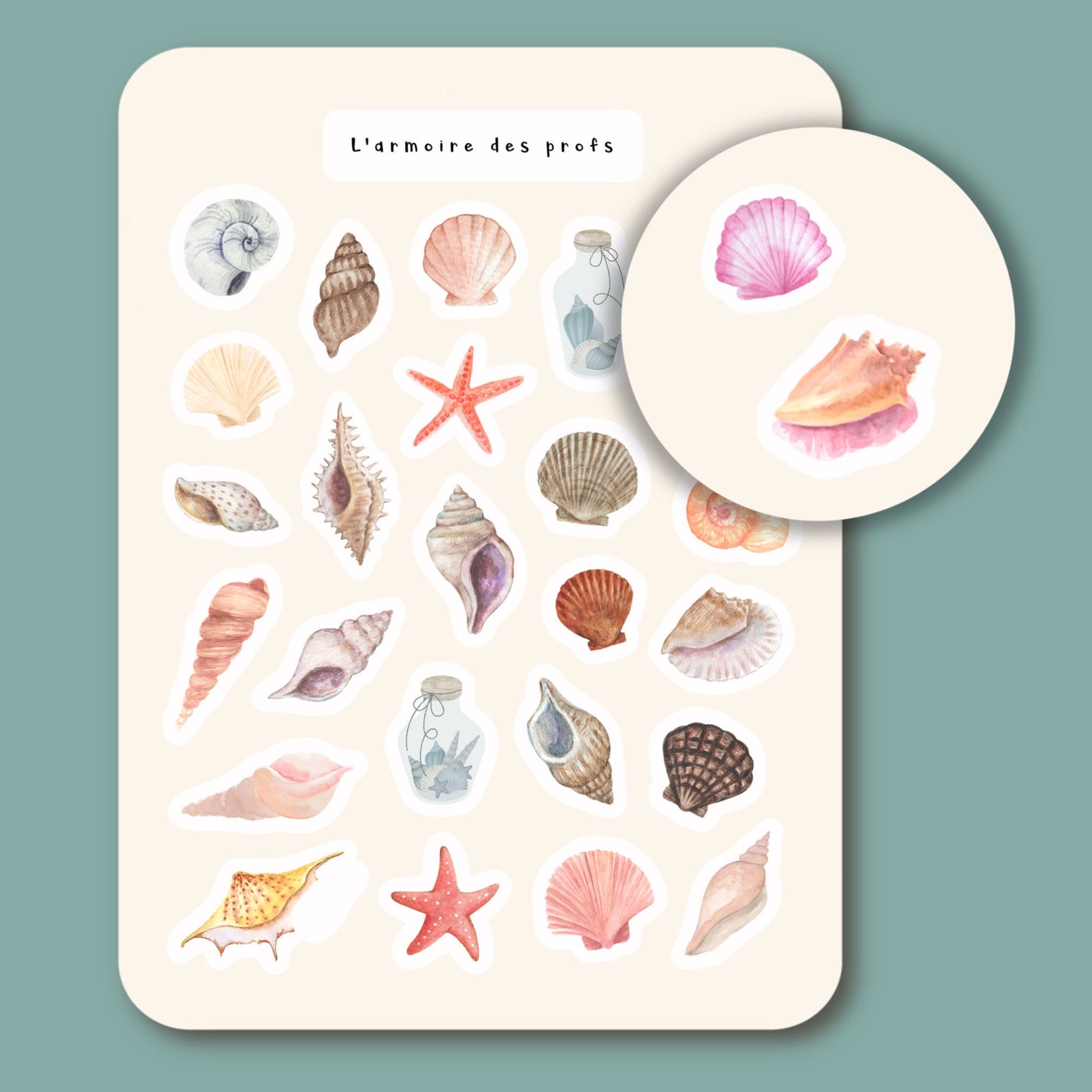SEA SHELLS Stickers / Stickers For Planners / Bullet Journal | Etsy