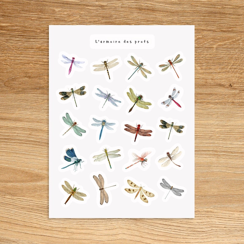 Dragonfly Sticker - Etsy