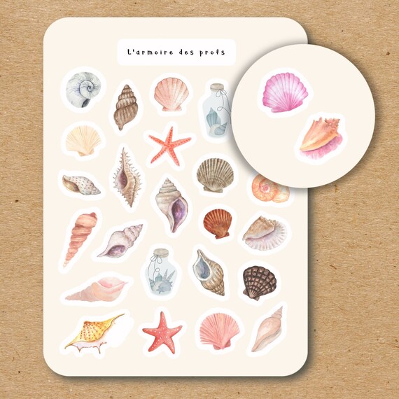 SEA SHELLS Stickers / Stickers for Planners / Bullet Journal - Etsy
