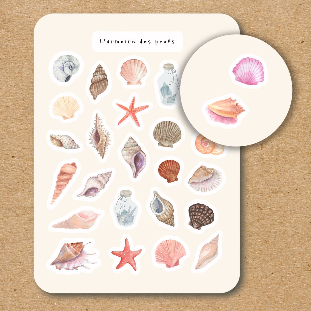 SEA SHELLS Stickers / Stickers for Planners / Journal Stickers - Etsy