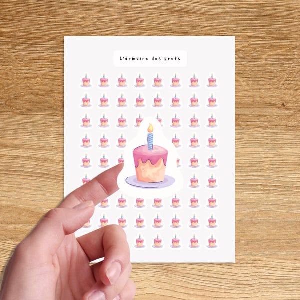 Birthday Planner Stickers - Etsy