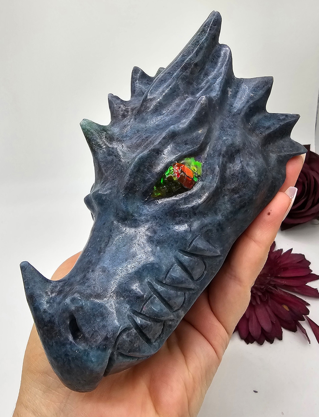 Ruby in Kyanite Dragon Skull Carving With Ammolite Eyes - Etsy