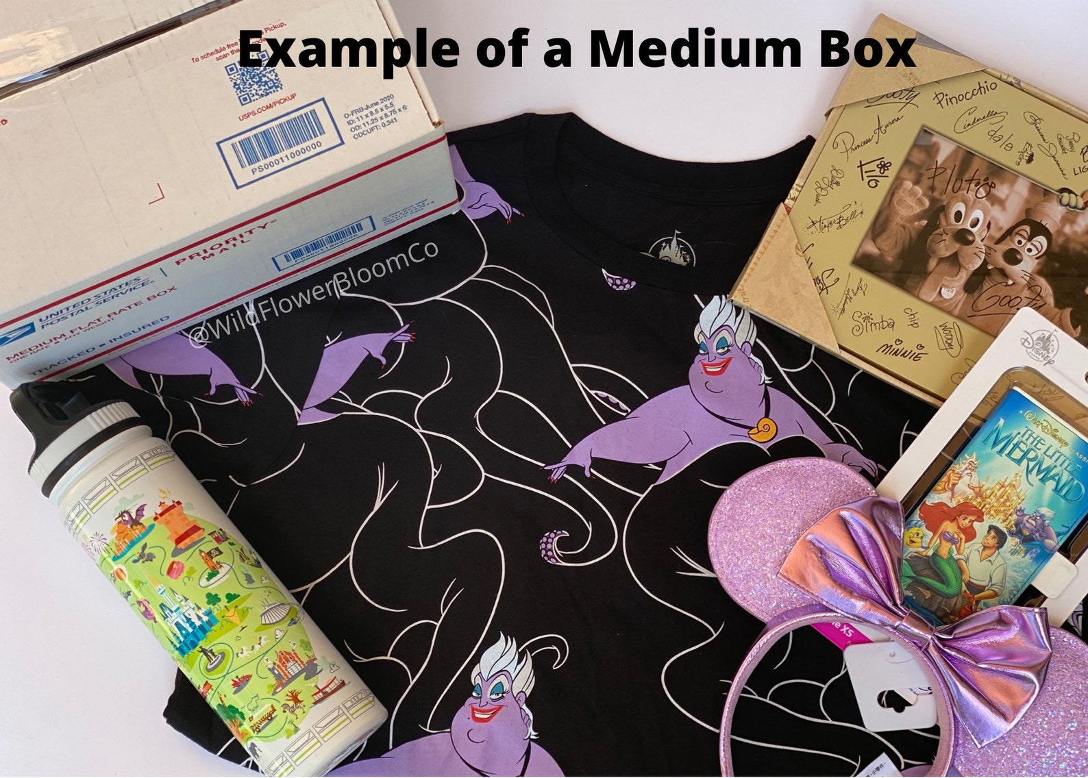 Disney Mystery Box Mystery Box Fun Box Disney souvenirs | Etsy