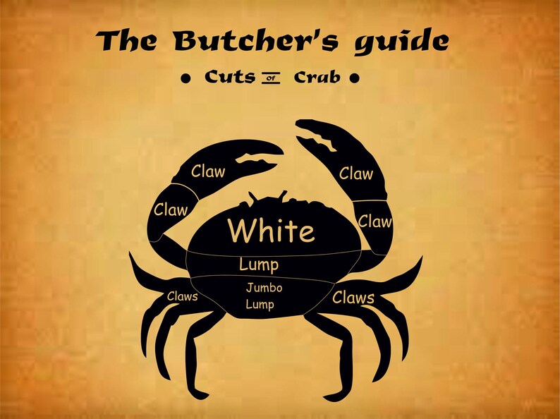 Crab Butcher Guide: Cuts of Crab Diagram (digital Download) - Etsy