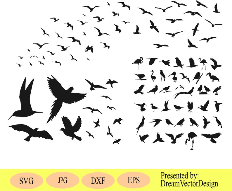 Bird Svg Bundle, Birds Svg, Flying Bird Svg, Клипарт птиц, Силуэт птицы ...