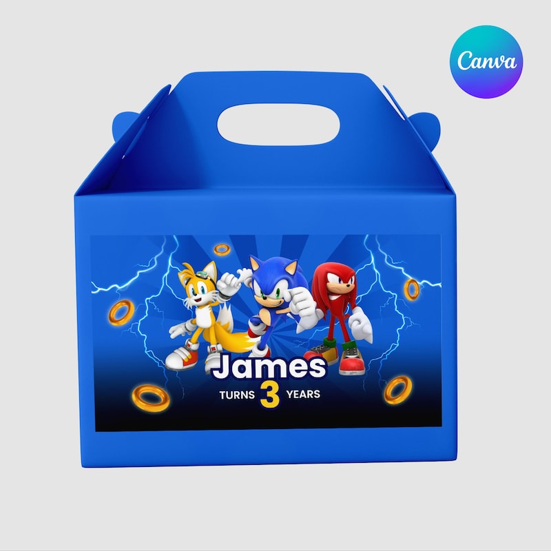 Sonic Container Box - Etsy UK