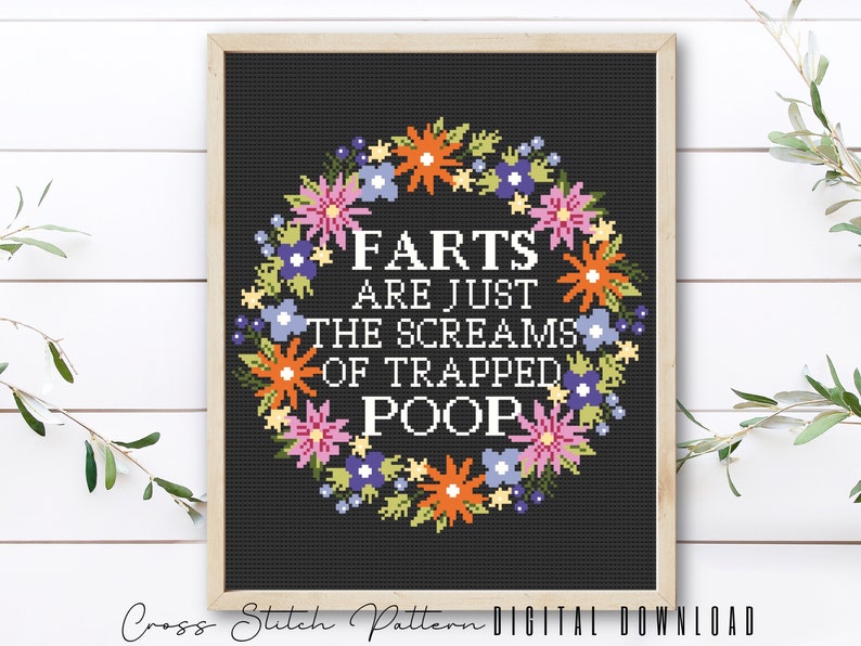 Subversive Cross Stitch Pattern Funny Fart Text Bathroom - Etsy