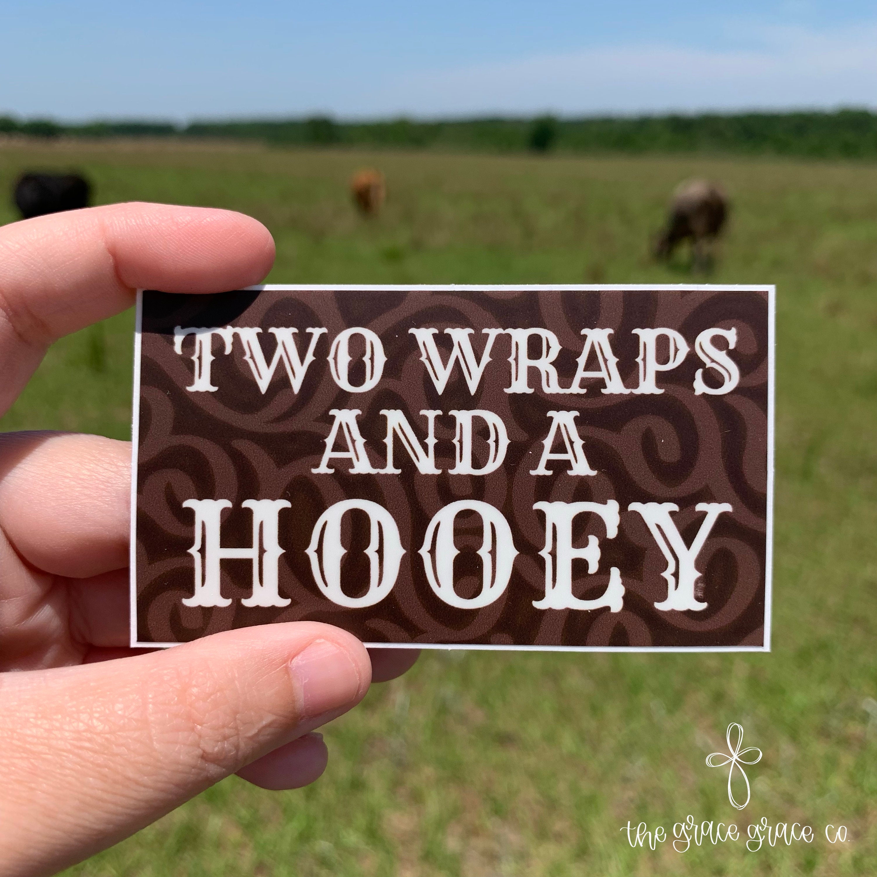 Hooey Stickers On Trucks