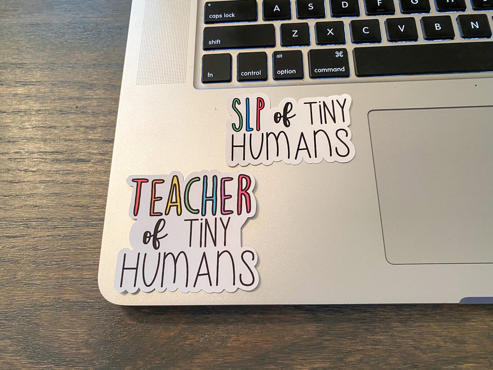 Teacher/slp/ot of Tiny Humans Stickers | Etsy
