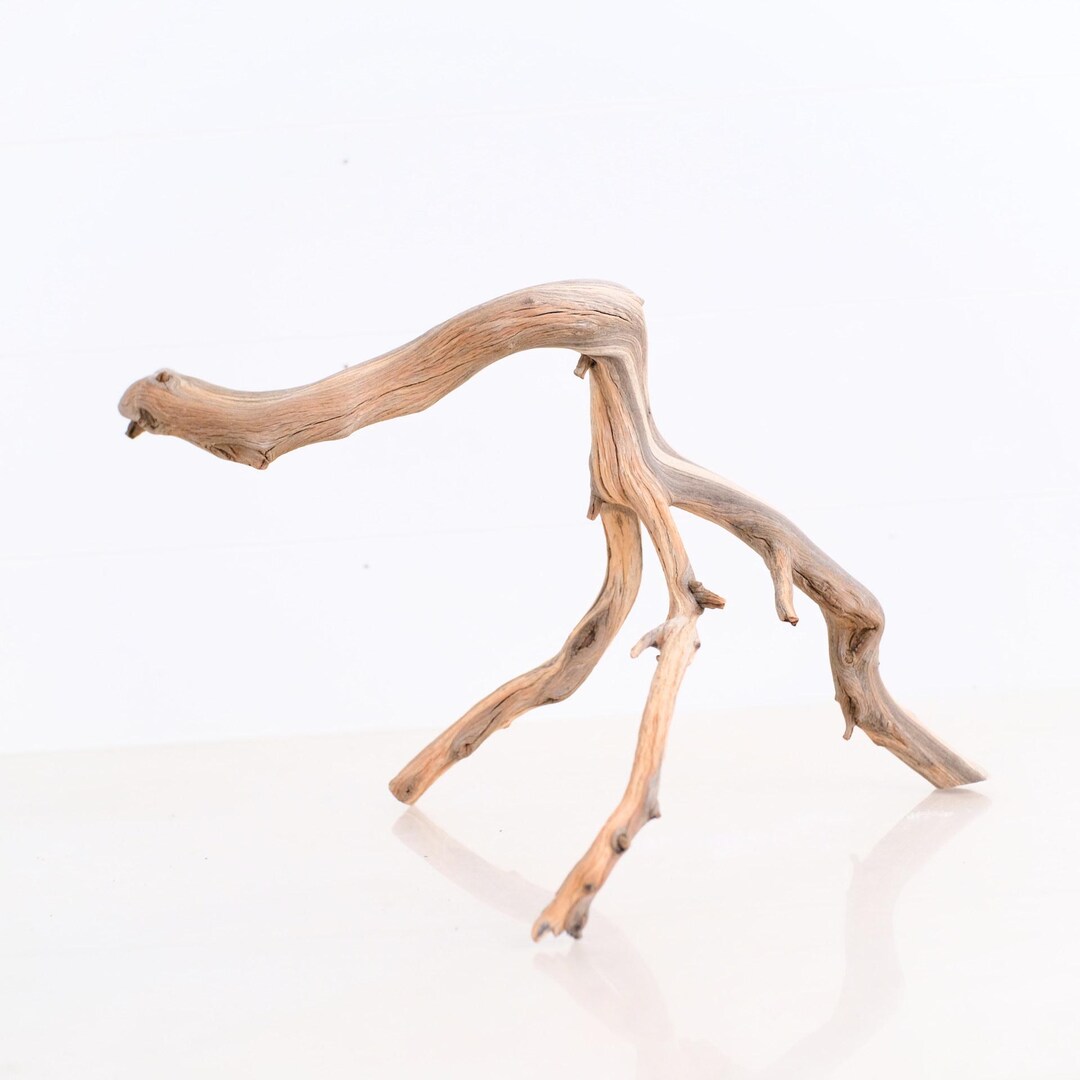 Manzanita Driftwood 15", Natural Aquarium Branches, Fish Tank Aquascape ...