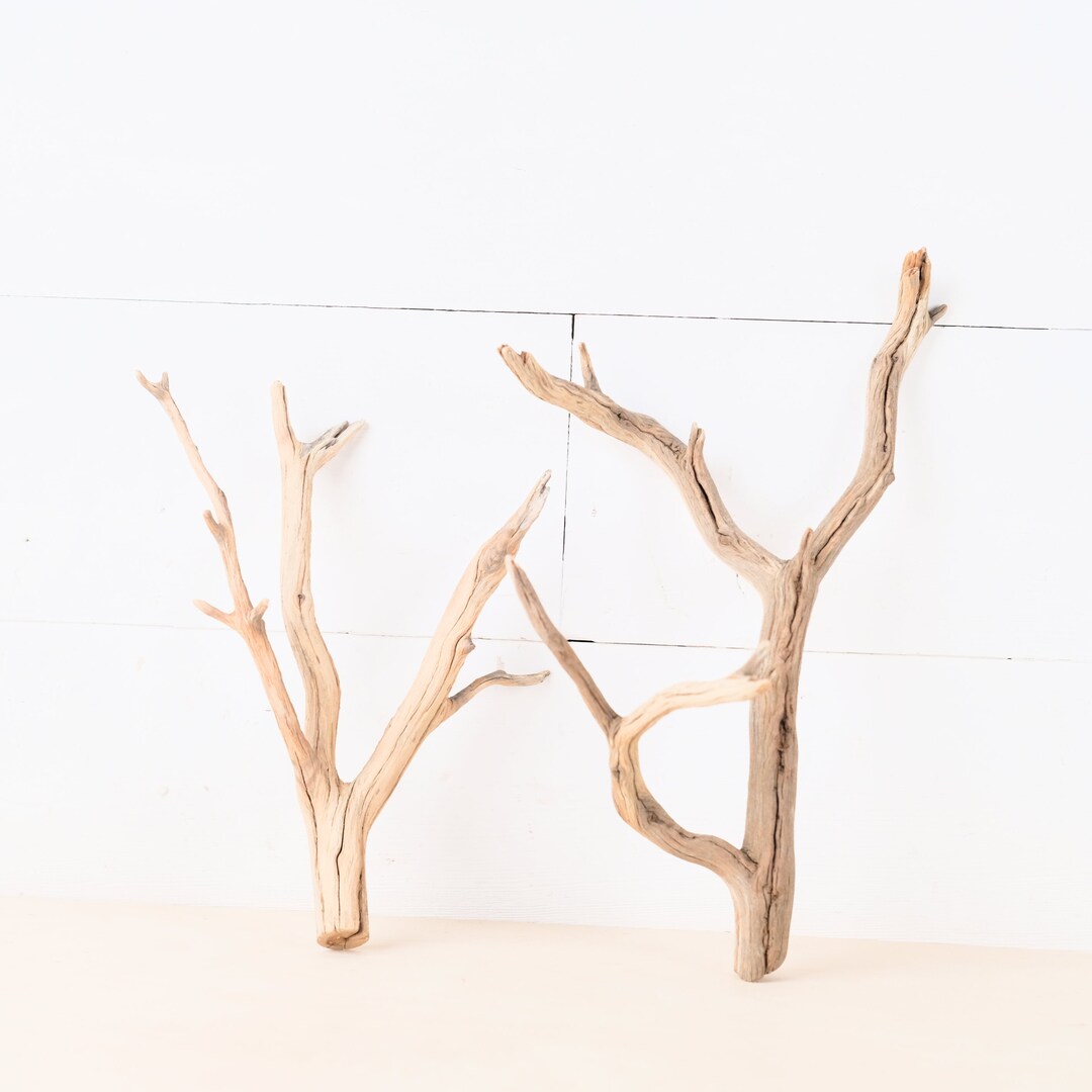 Manzanita 9-12 Driftwood Branches set of 2, Small Aquarium Decor ...