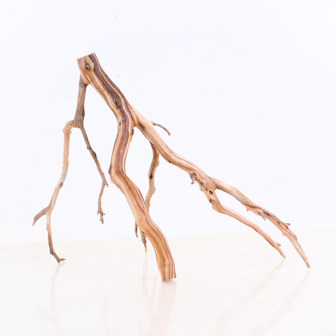 Manzanita Driftwood 18", Natural Aquarium Branches, Fish Tank Aquascape ...