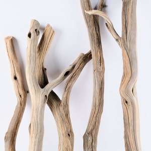 Natural Stick Pack, Multiple Sizes, Chameleon Sticks, Bird Perch Sticks ...