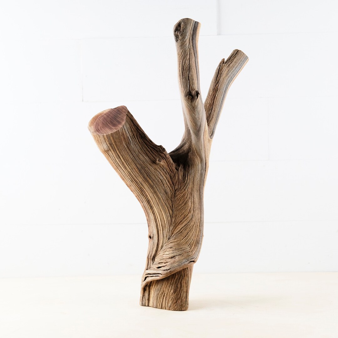 Manzanita 20 Branch, Alcove Decor Driftwood, Weathered Aquarium Wood ...