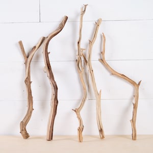 Natural Stick Pack, Multiple Sizes, Chameleon Sticks, Bird Perch Sticks ...