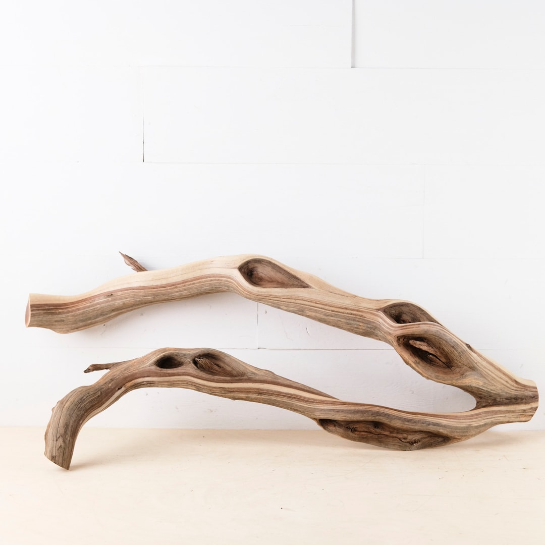 Manzanita 29 Driftwood Branch, Natural Aquarium Wood, Fish Tank ...