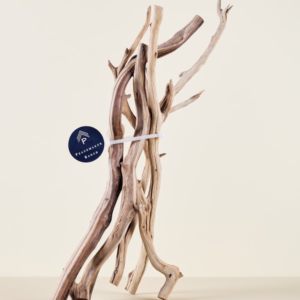 Bird Stick and Stick - Etsy