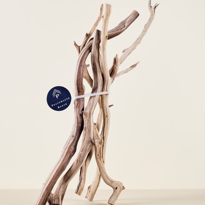 Bird Stick and Stick - Etsy