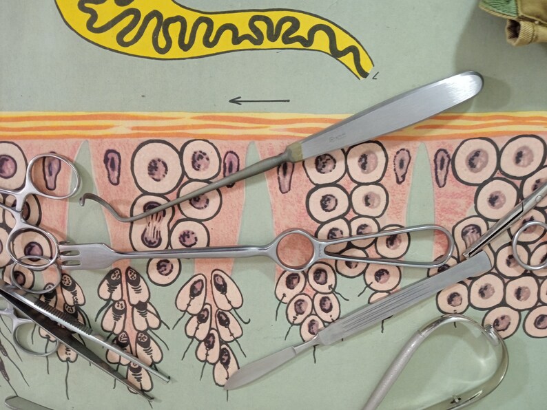 Vintage Surgical Tool Set in Case Antique Medical Instruments ...