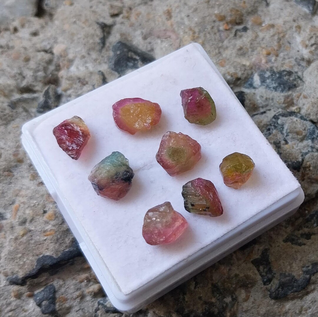 Watermelon Tourmaline Rough, 8 Piece Natural Watermelon Bi Color ...