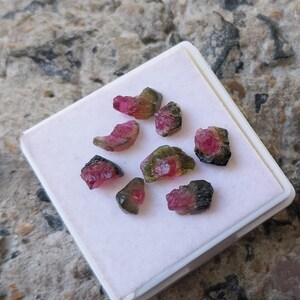 Watermelon Tourmaline Rough, 8 Piece Natural Pink Green Watermelon ...
