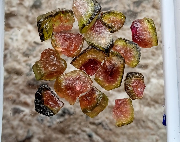 29 Carat Natural Watermelon Tourmaline RAW Rough 15 Piece Wholesale Lot ...