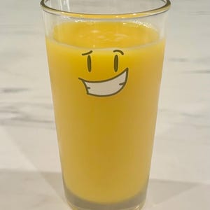 Inanimate Insanity OJ Glass 2.0 - 16oz Glass With Object Show Face - Etsy