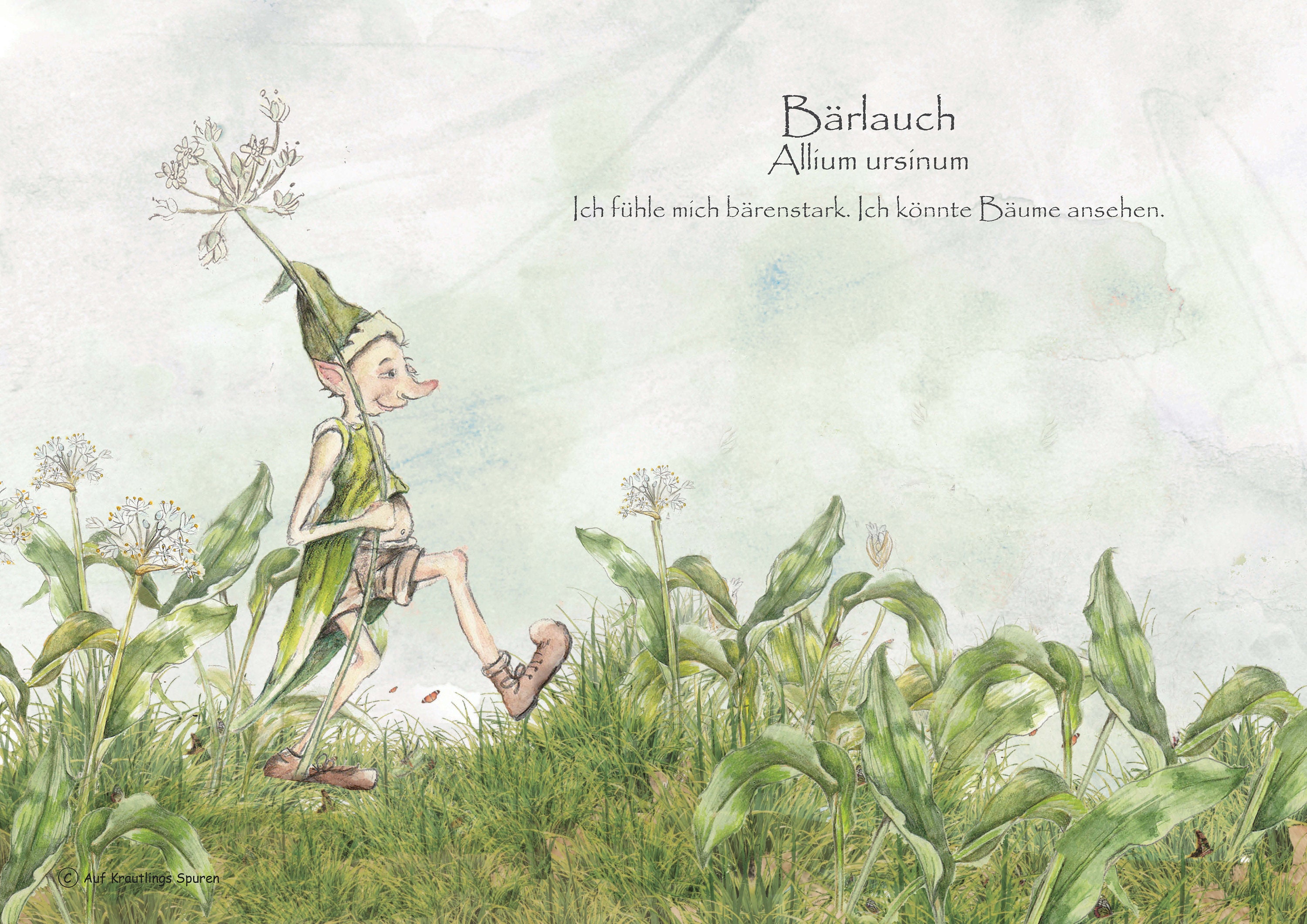 Tischset Kräuter Elfen Gnome Feen | Etsy