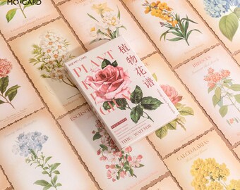 Flower Post Cards - Etsy