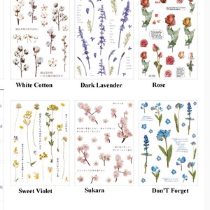 Flower Series Plant Sticker Dry Flower Sticker Dry Leaf Sticker ...