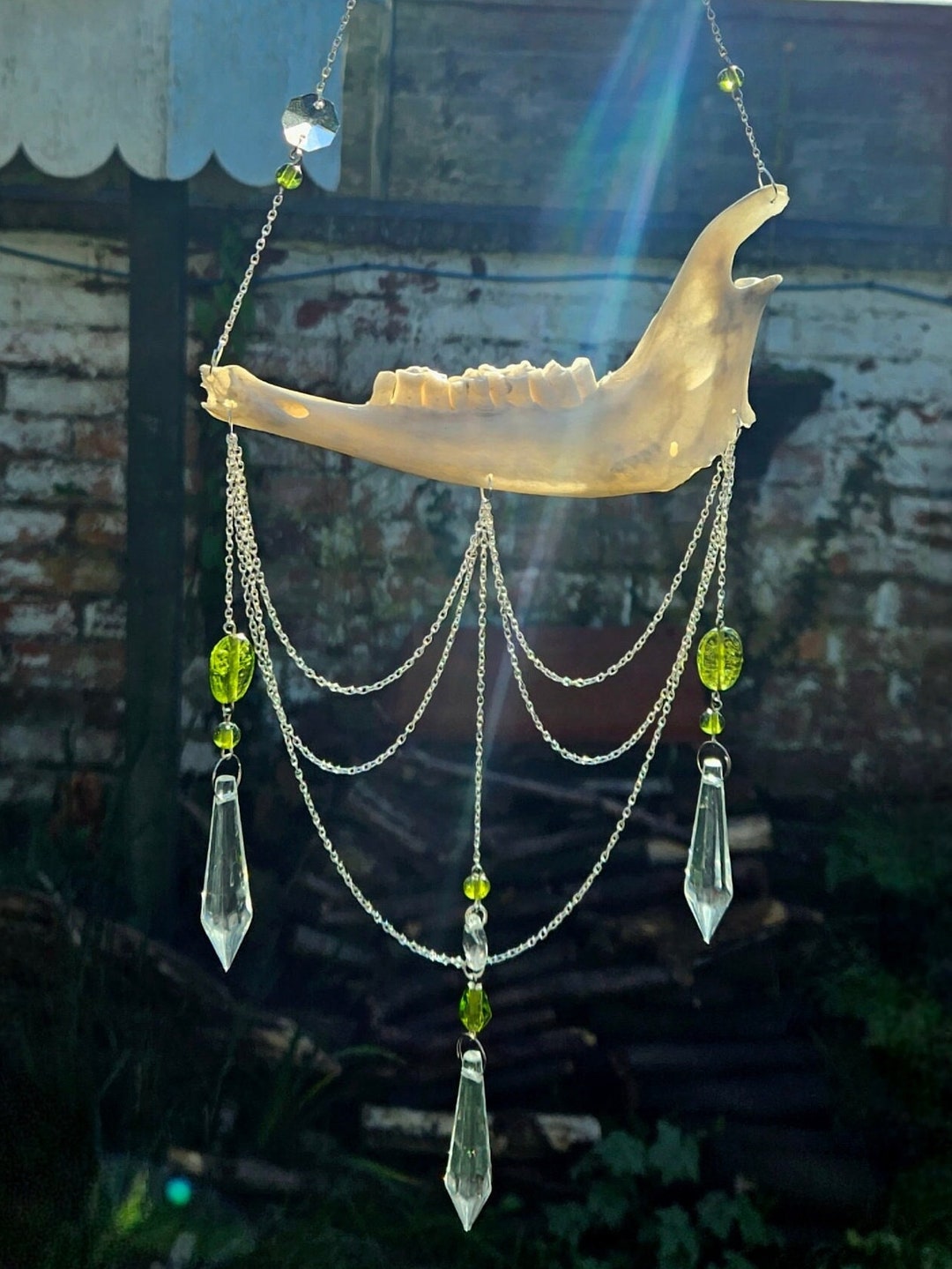 Jaw Bone Suncatcher With Green Upcycled Beads - Etsy UK