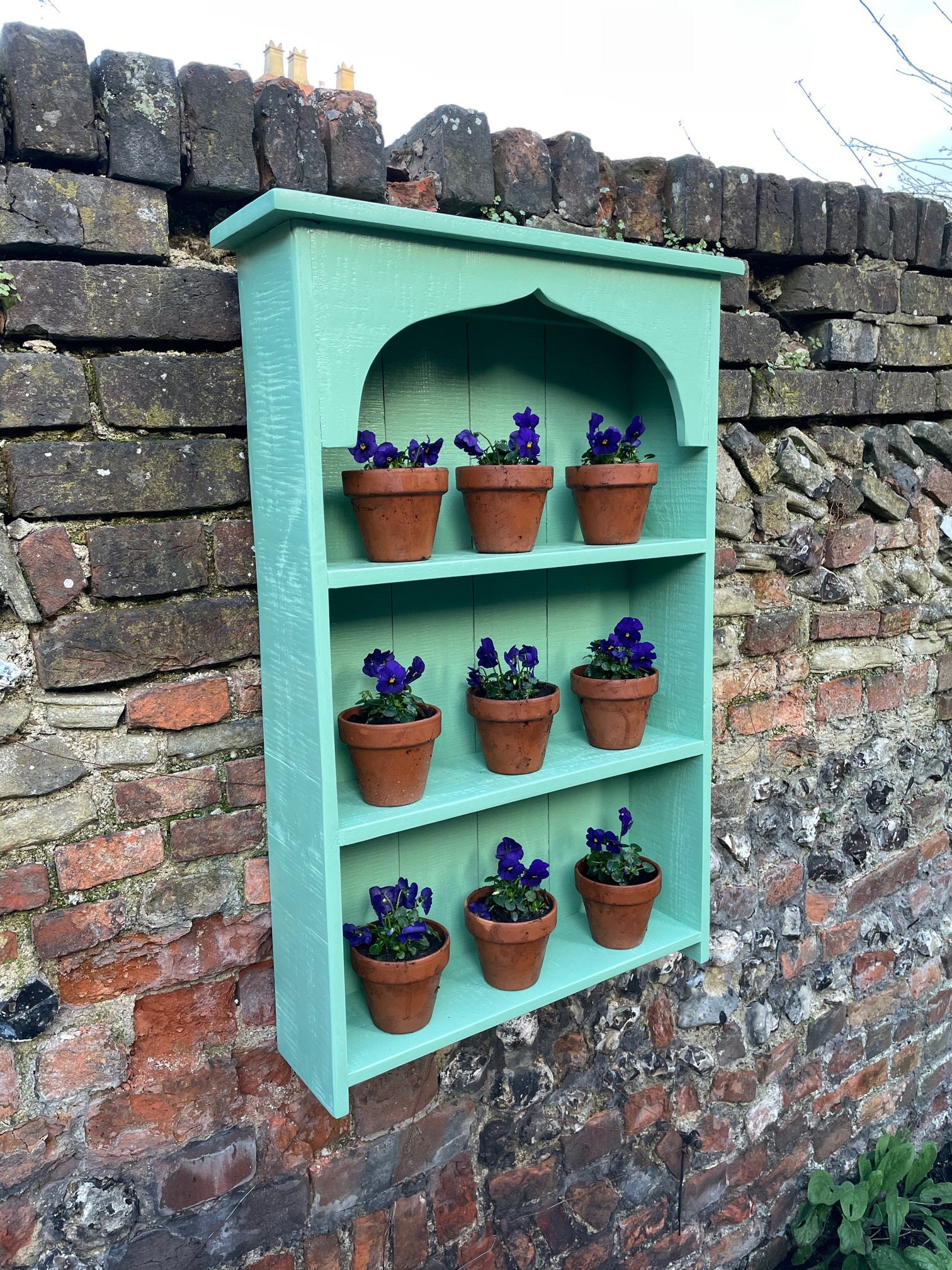 Auricula Theatre Primrose Primula Flower Wall Shelf Garden | Etsy