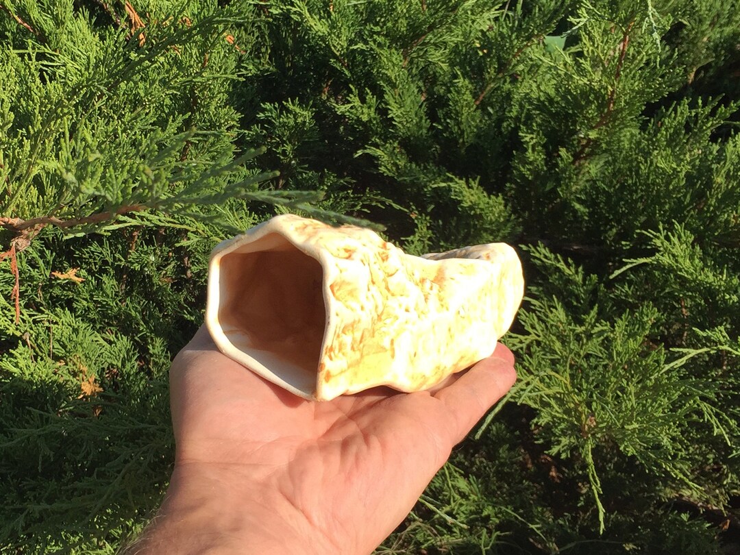 Ceramic Aquarium Cave, Fish Cave, Aquarium Accessories, Aquarium Stone ...