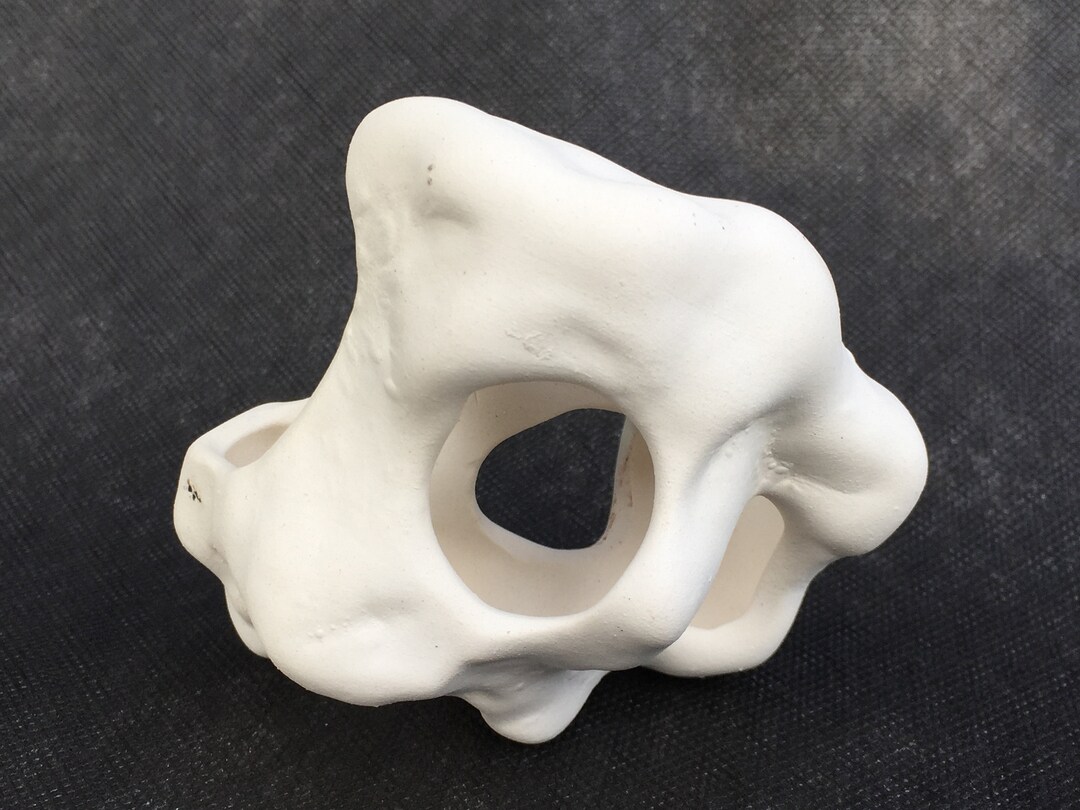 Cichlid Cave Aquarium Stone, Fish Cave, Cichlid Stone Aquarium Cave ...