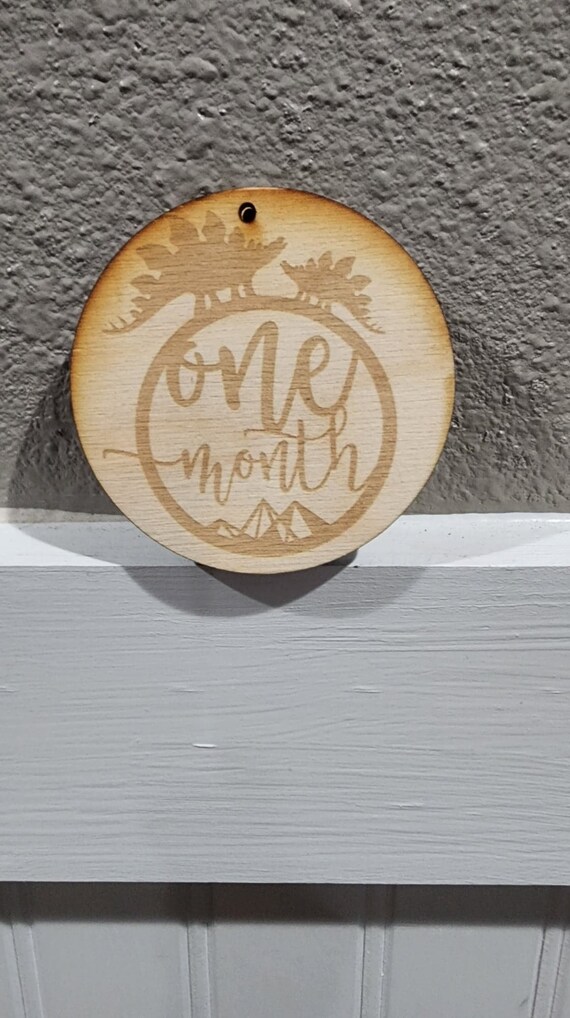 Milestone Frame Ornament Blank - Etsy