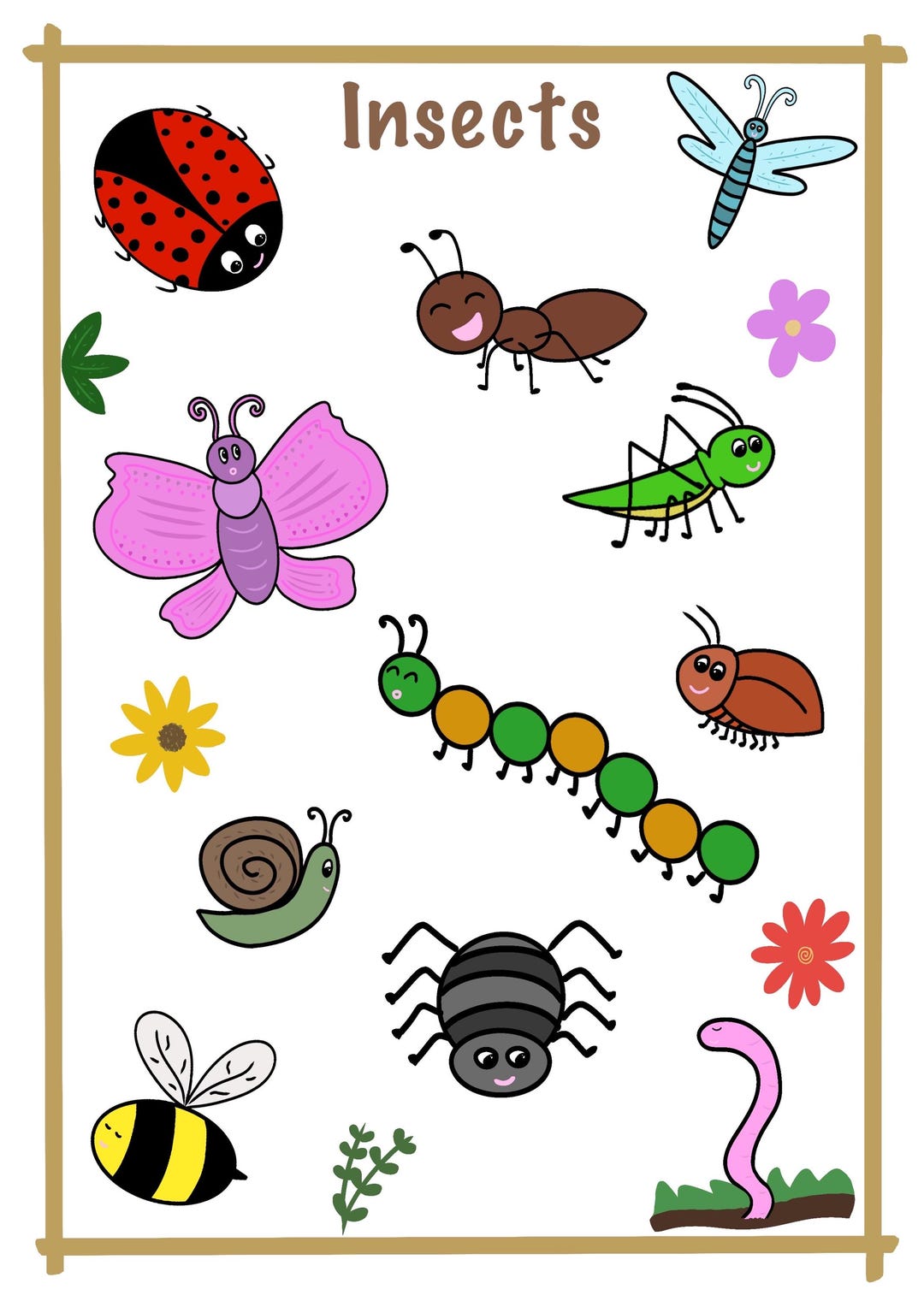 Insect Print, Insect Poster, Bugs, Childrens Educational Poster, School ...