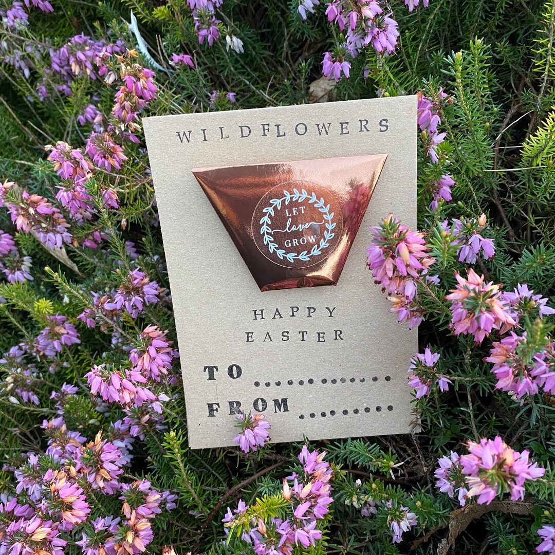 Wildflower Seed Packet Easter Postcards - Etsy