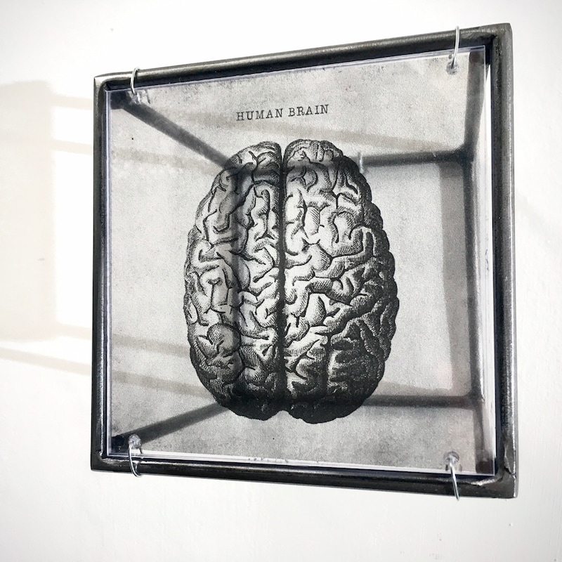 Brain Sculpture - Etsy