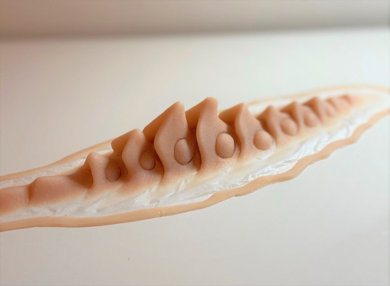 The Alien Spine Sci Fi Silicone Prosthetic SFX Make Up - Etsy
