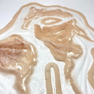 The Ripped Face Silicone Prosthetic SFX Make up Moulage - Etsy