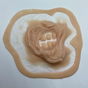 The Ripped Mouth 1 Silicone Zombie Prosthetic SFX Make Up - Etsy