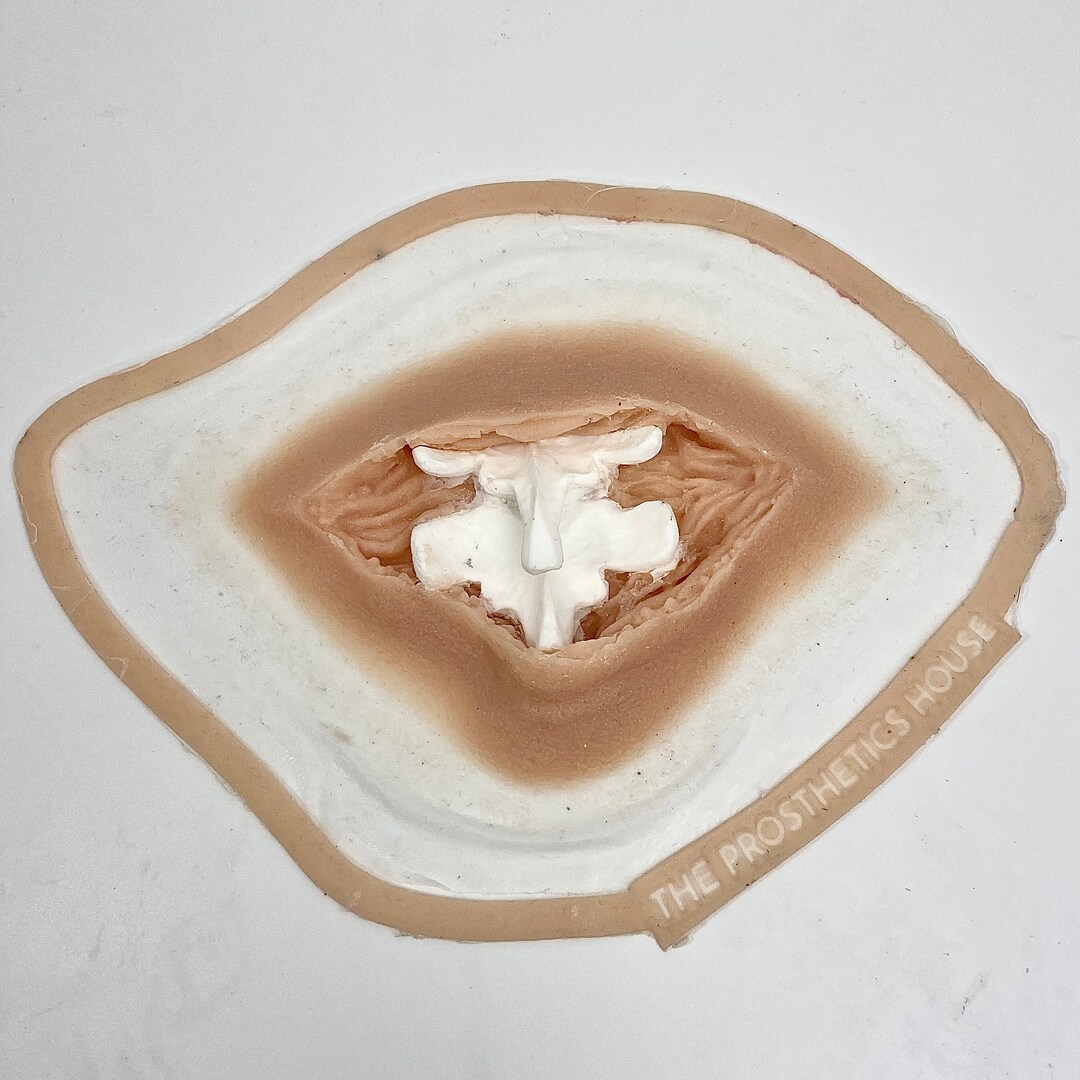 The Exposed Spine Silicone Prosthetic With Resin Plastic Bones SFX Make ...